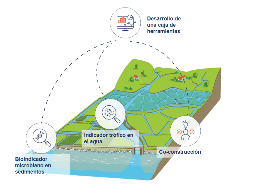 Microbial and trophic bioindicators of the ecological status of the SUDOE coastal zone ecosystem ...