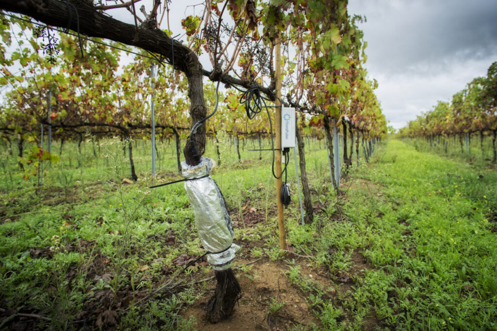 Smart Green Water | New project on digitisation of agriculture ...