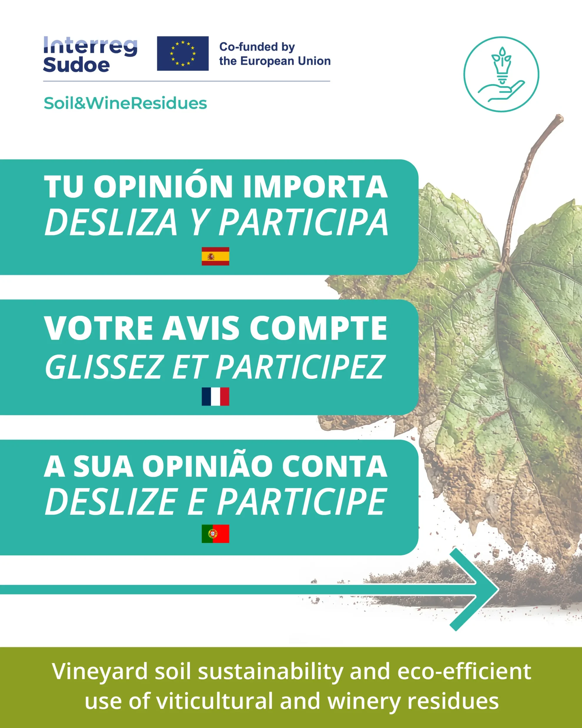 The Soil&WineResidues project launches a key consultation for vineyard ...